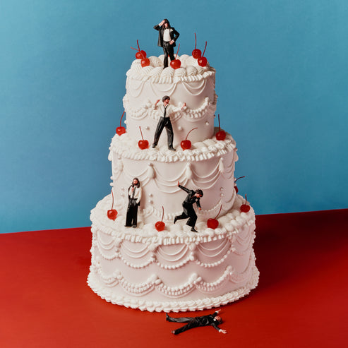 Blossoms - Songs From The Wedding Cake – The Vinyl Whistle